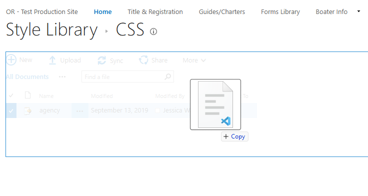 Adding Custom CSS and JavaScript to Your Website – Tyler Oregon